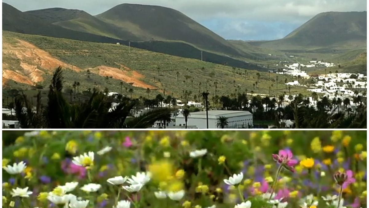 Unwetter-Folgen: So haben Sie Lanzarote garantiert noch nie gesehen!