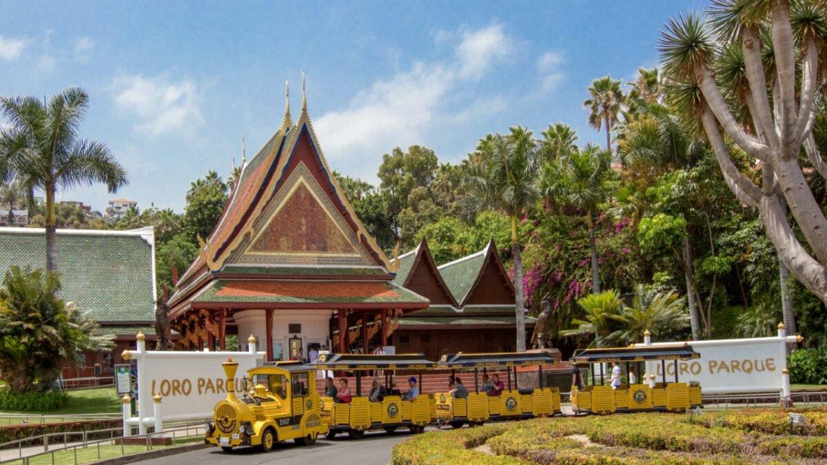 Eintritt zum Loro Parque Teneriffa - mit Rabatt & VIP-Transfer